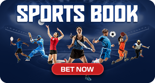 PlayWise365 - The Official Gaming Platform